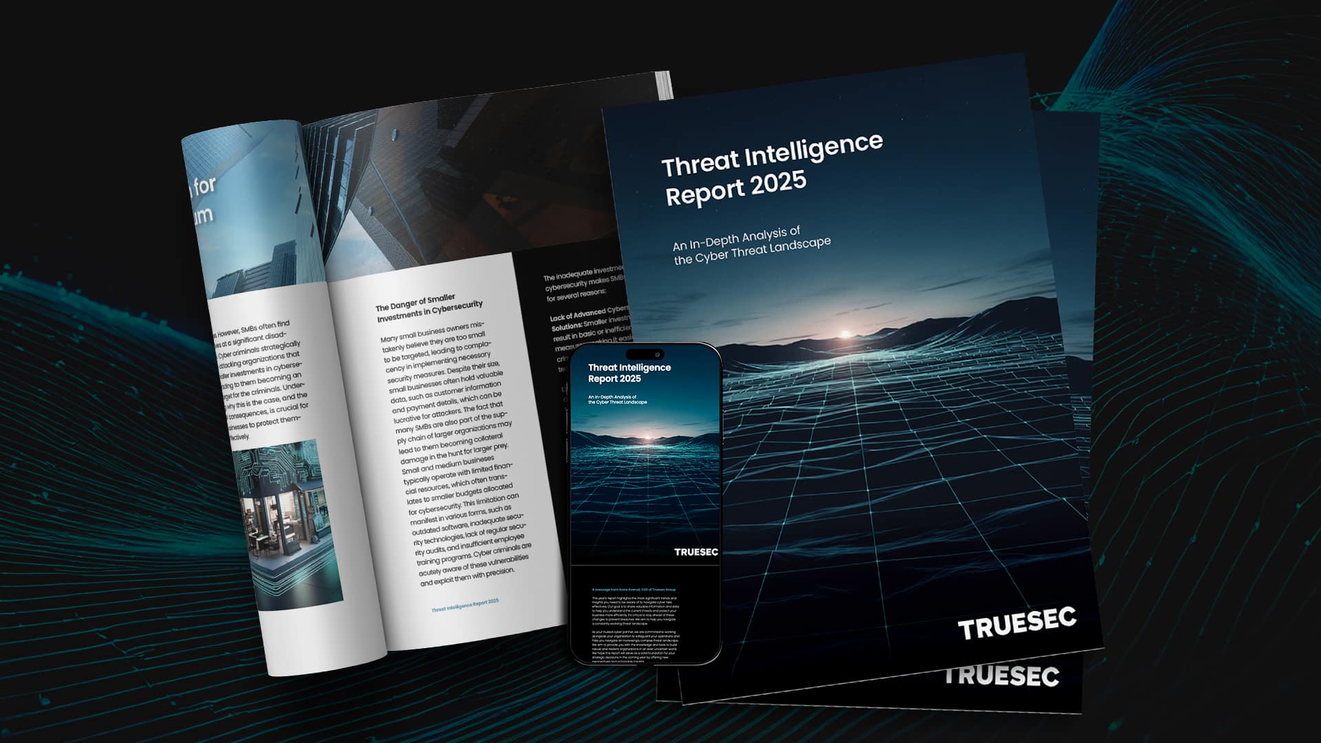 Truesec - Experts in Cybersecurity